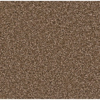 Textured Carpet Styles | America's Floor Store