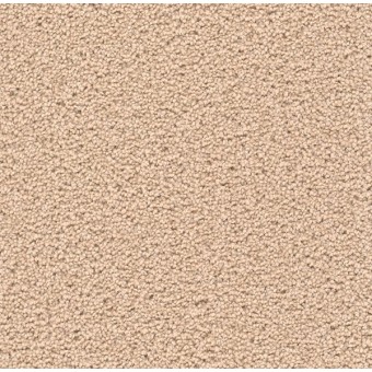 Textured Carpet Styles | America's Floor Store