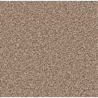 Textured Carpet Styles | America's Floor Store