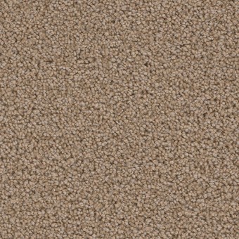 Textured Carpet Styles | America's Floor Store