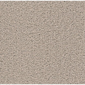 Textured Carpet Styles | America's Floor Store
