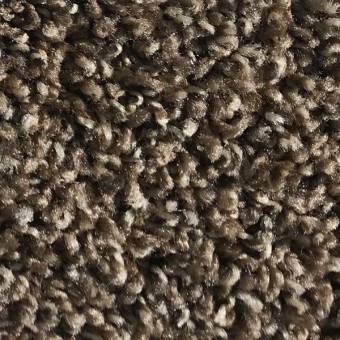 Carpet Collections - America's Floor Store