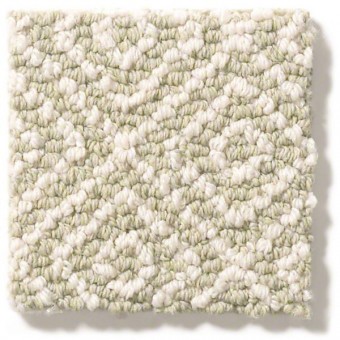 Berber Carpet | America's Floor Store